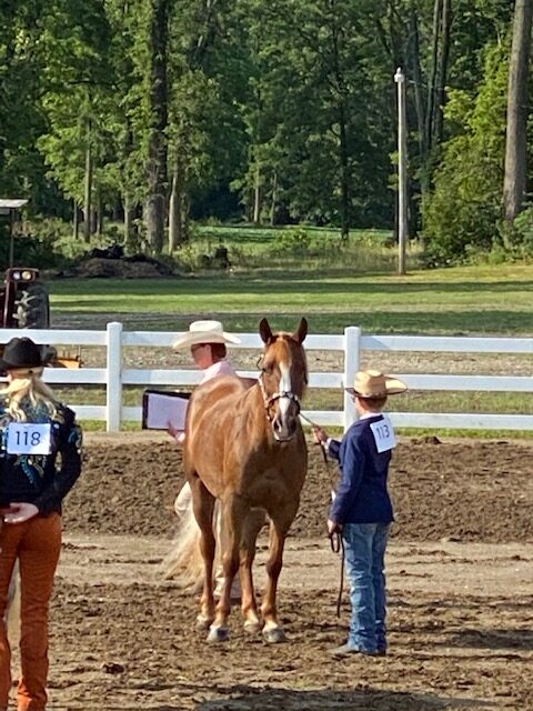 Decatur County Fair Scenes – WTRE Radio