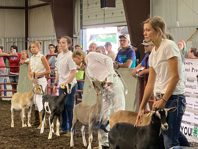 Decatur County Fair Scenes – WTRE Radio
