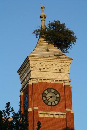 Greensburg Mayor Joshua Marsh announces he will seek another term ...