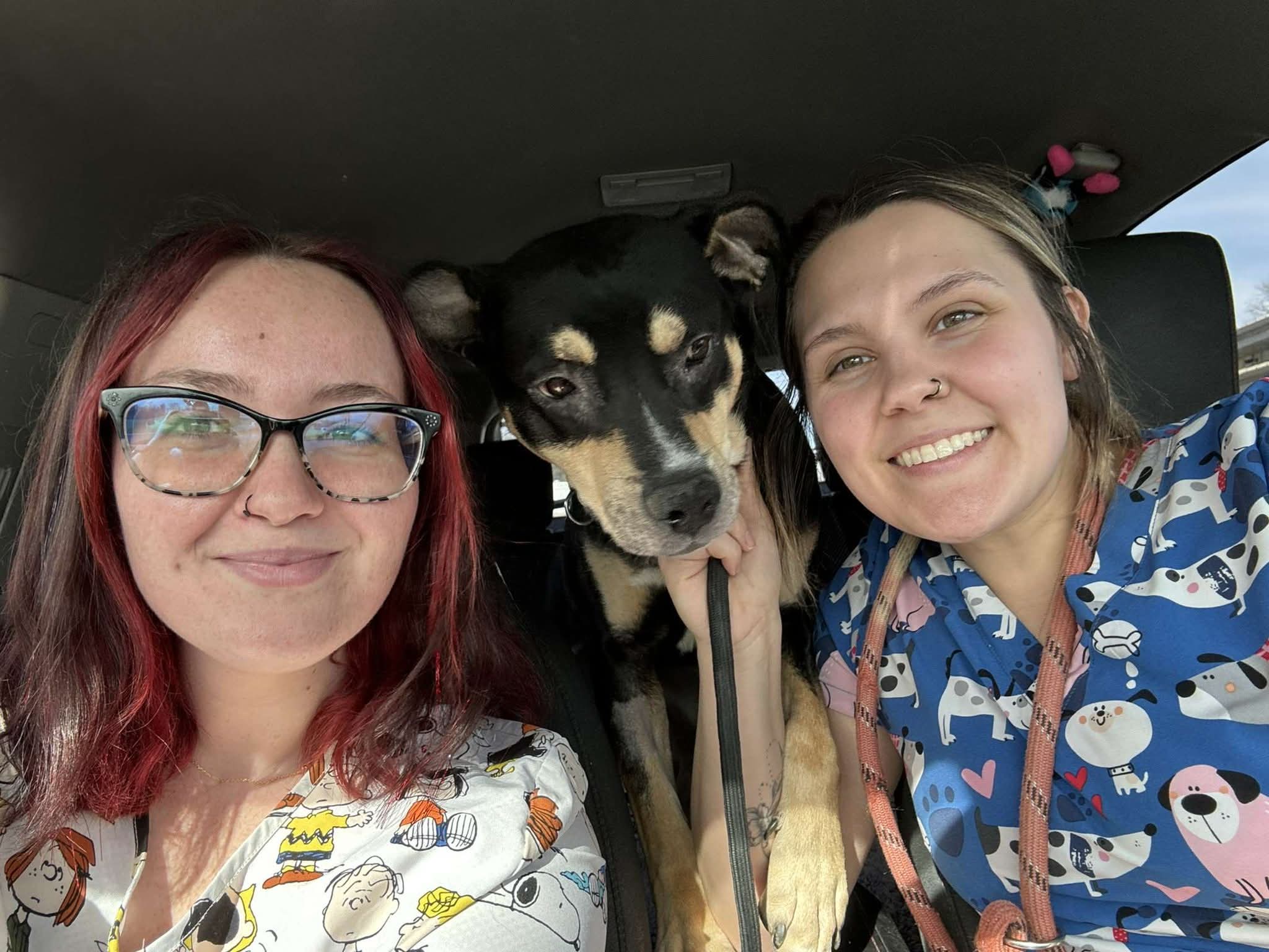 Loving Them All: One Kennel Tech’s Story - WTRE Radio